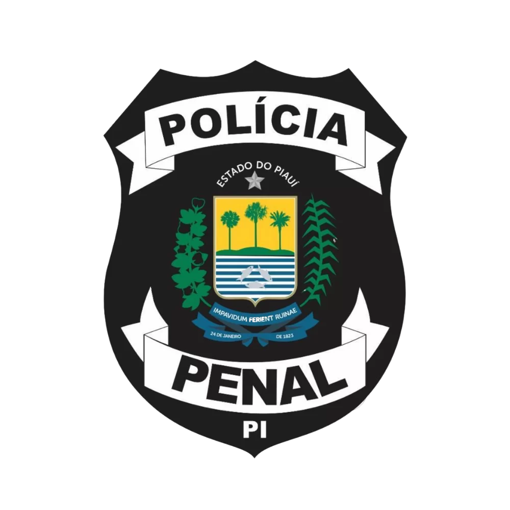 Concurso PP PI - Polícia Penal do Estado do Piauí